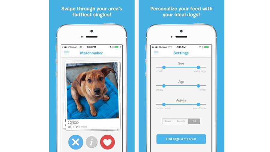 BarkBuddy: conheça o Tinder para cães