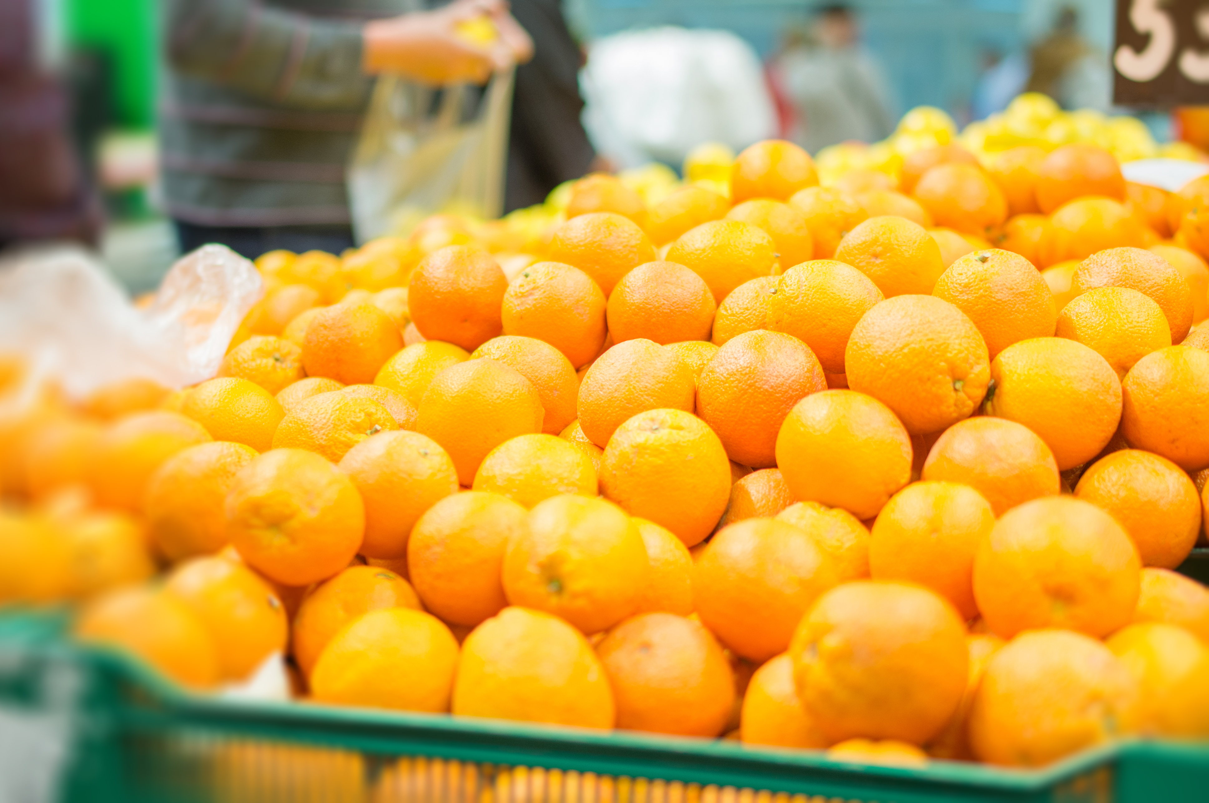Saiba como produzir a laranja desejada pelo mercado