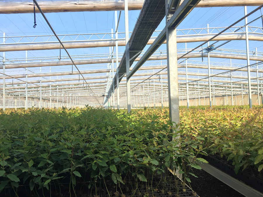 Suzano acerta compra da Fibria e divulga valores da transação ...