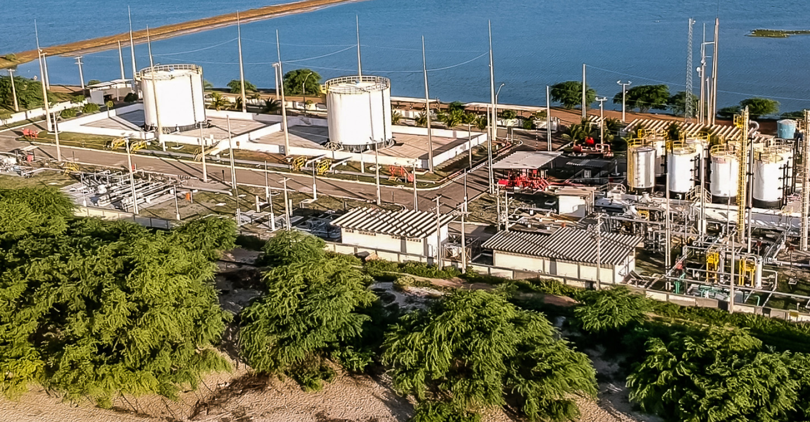 Brava (BRAV3) elege Richard Kovacs para o cargo de presidente do Conselho