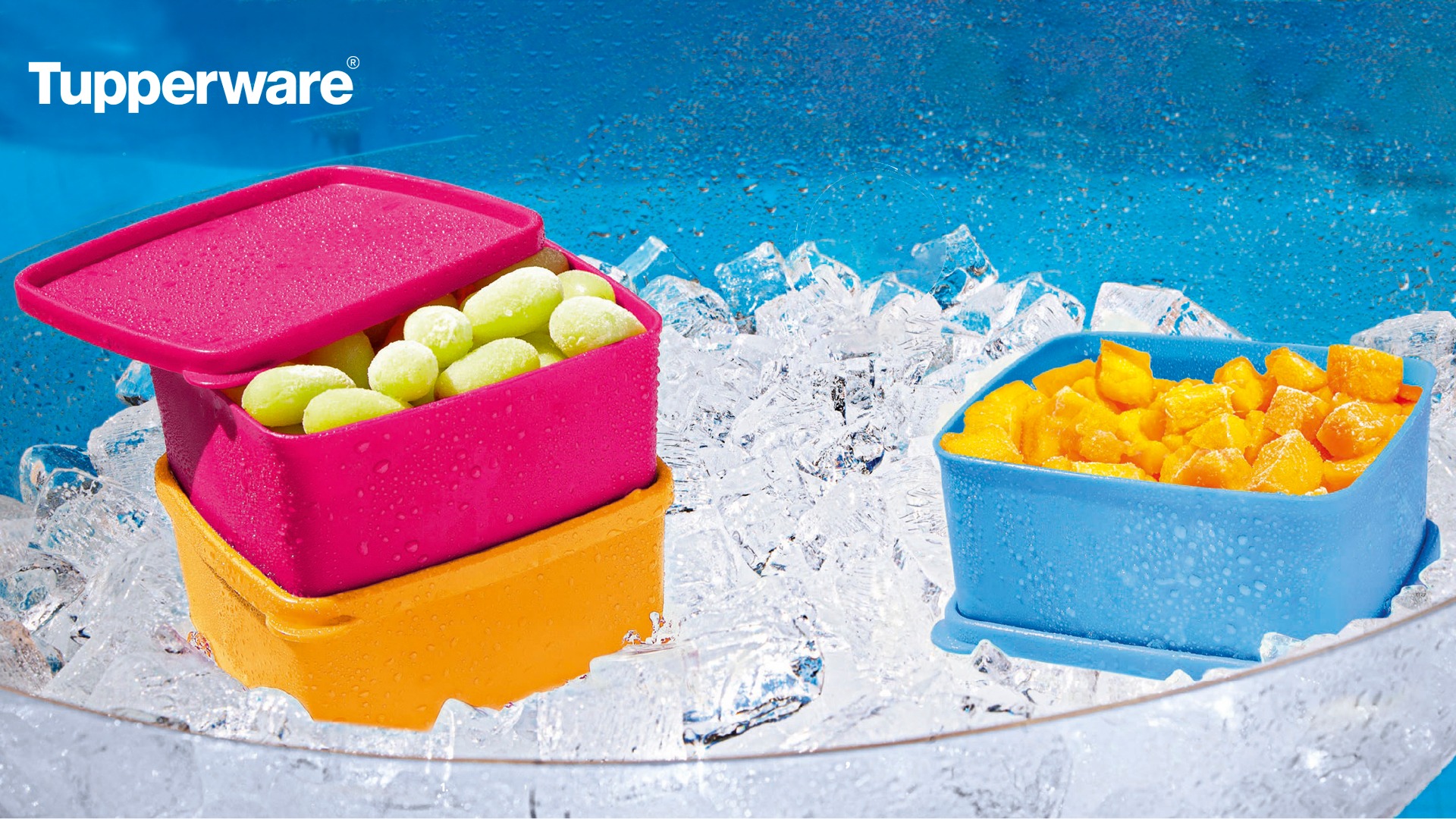 Ações da Tupperware disparam quase 700%: o que explica o movimento — e ...