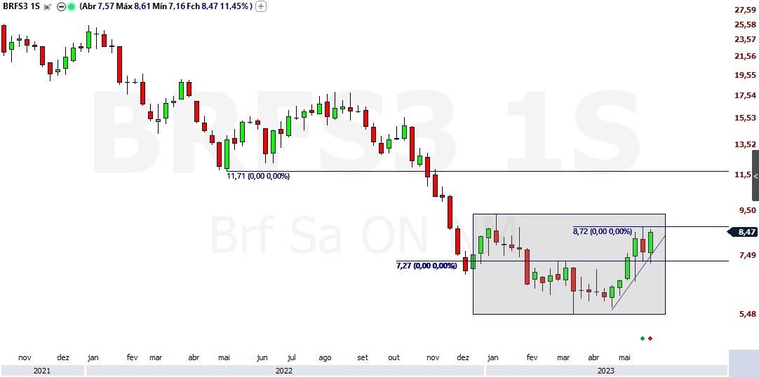 BRFS3: Confira a análise das ações e saiba o que esperar de BRF