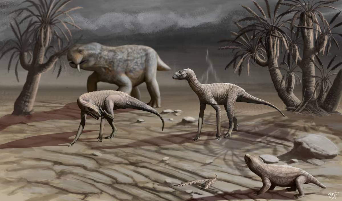 Tataravô dos dinossauros? Um dos mais antigos répteis gigantes do ...